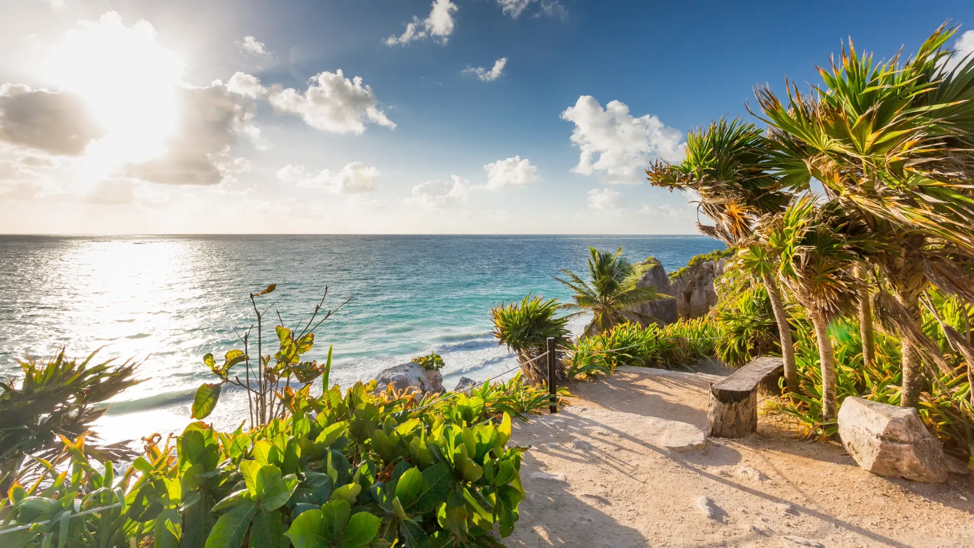 Explore All The Riviera Maya